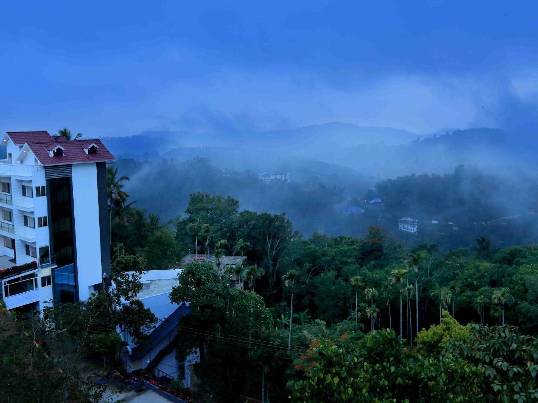 Snow Line Resort,munnar - Munnar
