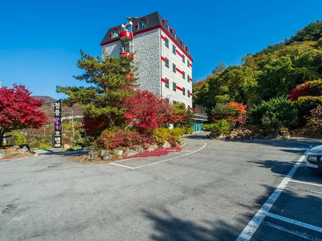 Jecheon Cheongpung Bali Hotel - Gyeongsangbuk-do