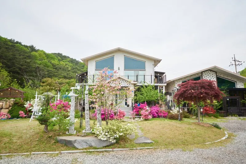 Damyang Birch Pension - 광주광역시