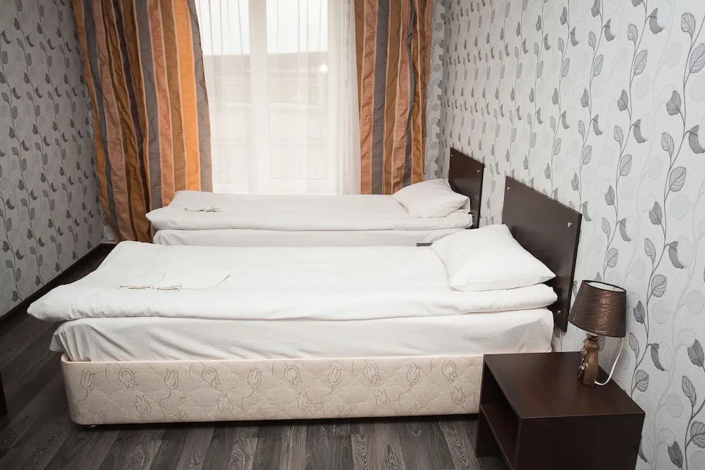 Hotel Pushkin - Псков