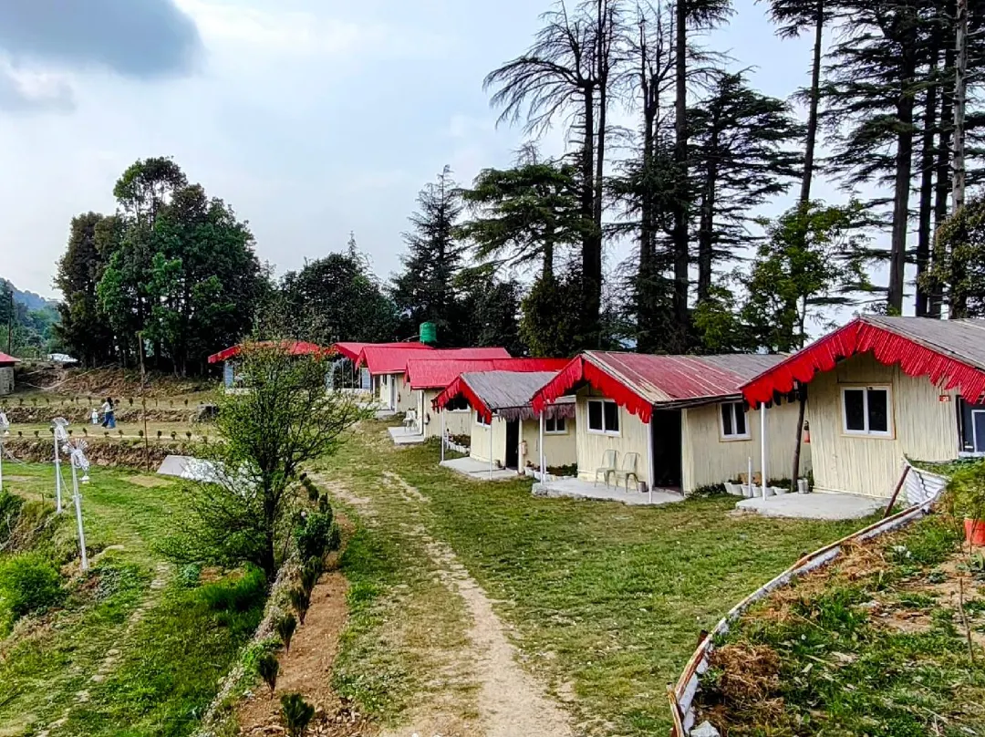 Himalayan Roots - Kanatal