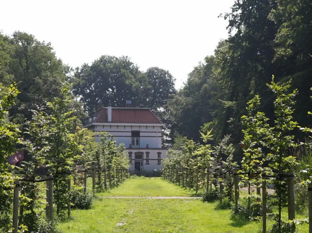 Bed & Breakfast Rijsterbosch - Friesland