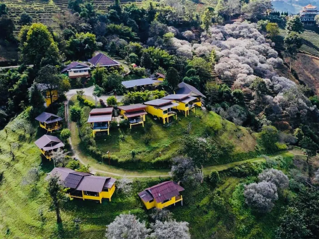 Maesalong Mountain Home Resort - Chiang Rai
