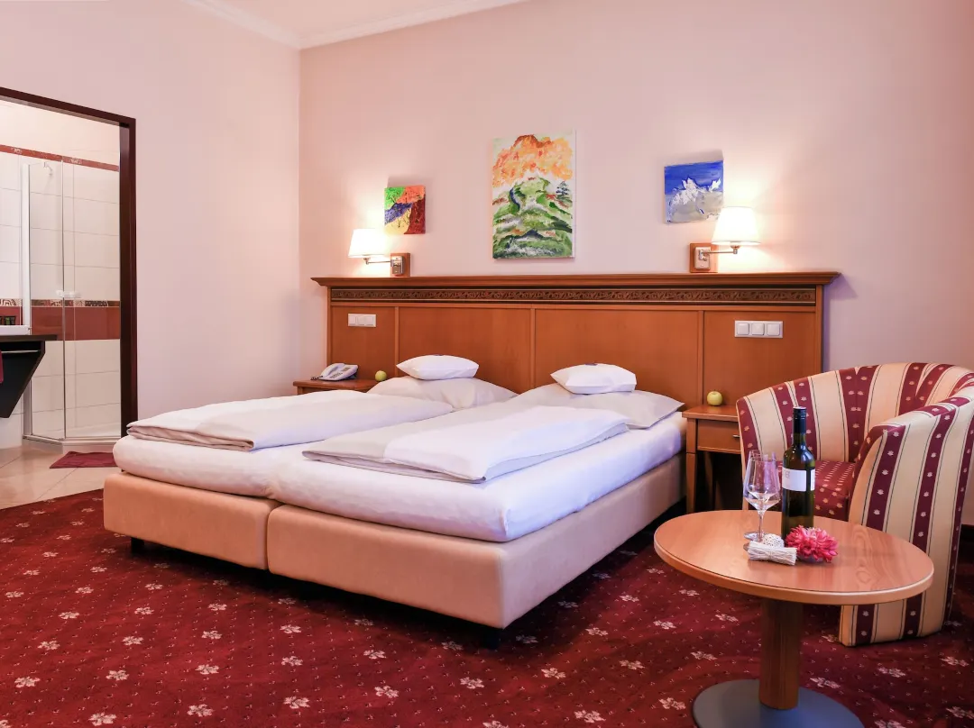Hotel Alexandra - Wels