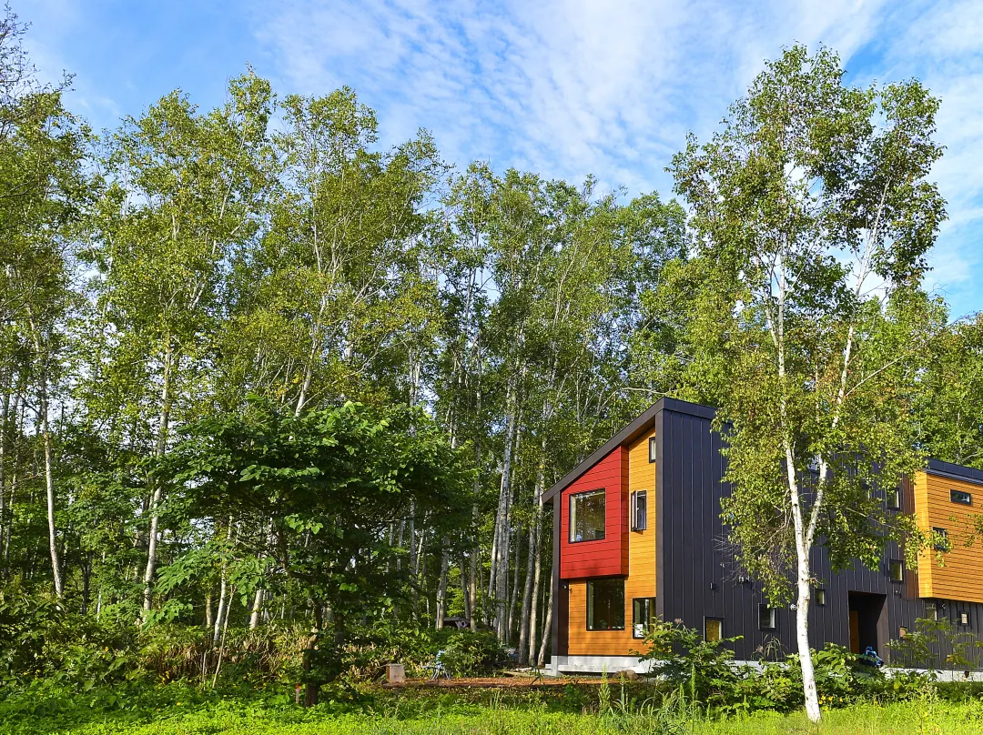 Green Saso - Niseko