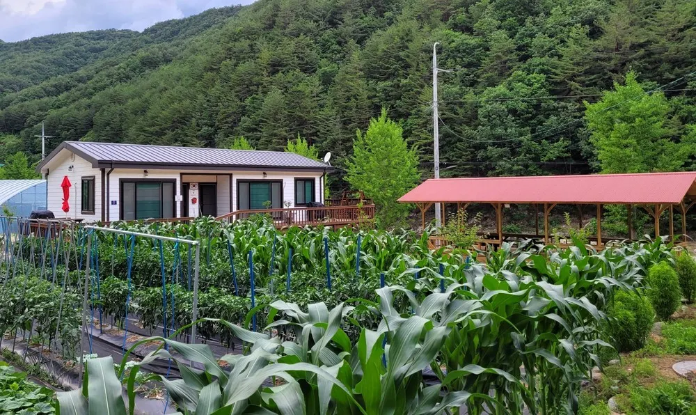 Uljin Wangpicheon Healing Farm Pension - 영양군