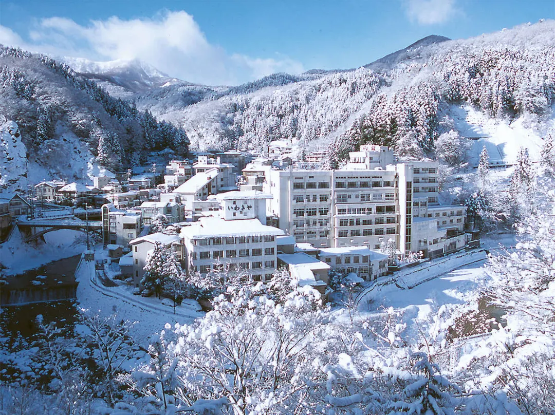Ryokan New Ougiya - Fukushima
