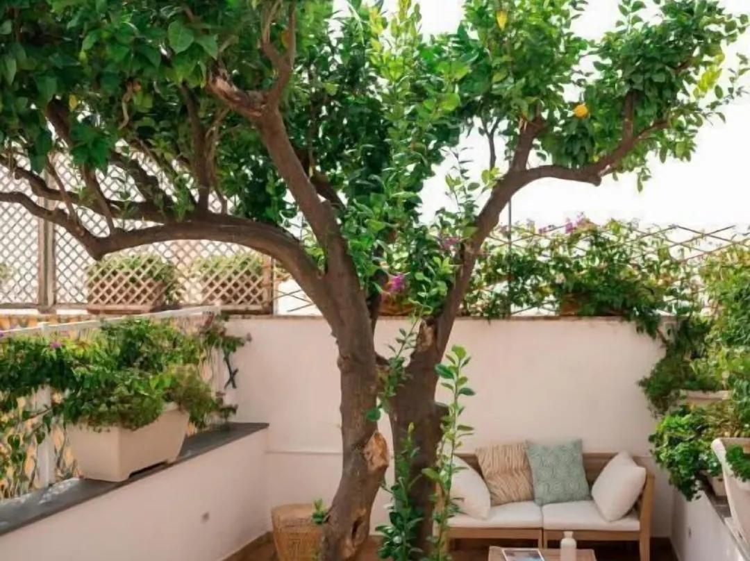 Villa Fortuna - Positano