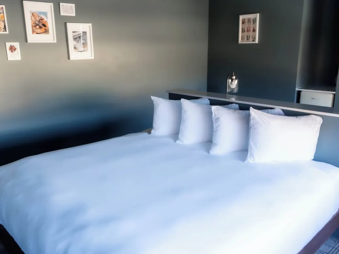 Hotel Alexander - Mankato, MN