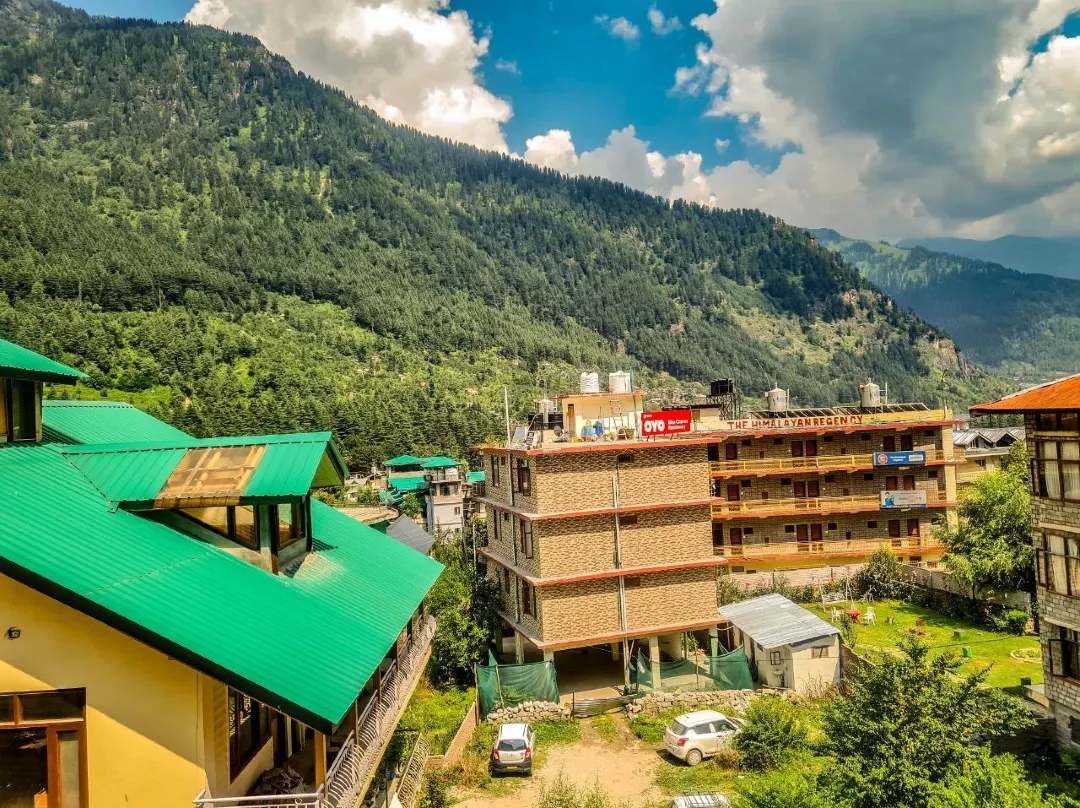 Pine Grove - Manali