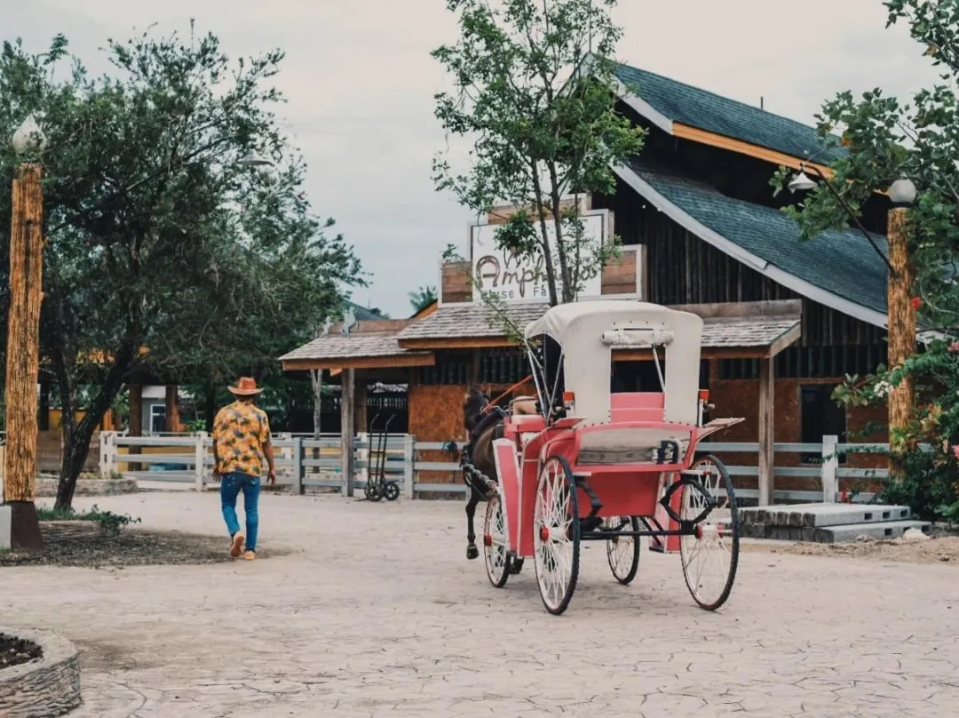 Amphawa Horse Farm - Ratchaburi