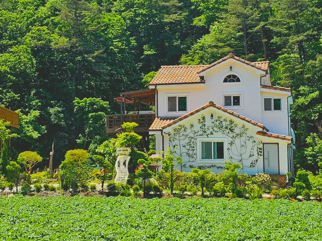 Jeongseon Solmi Pension - Gangneung
