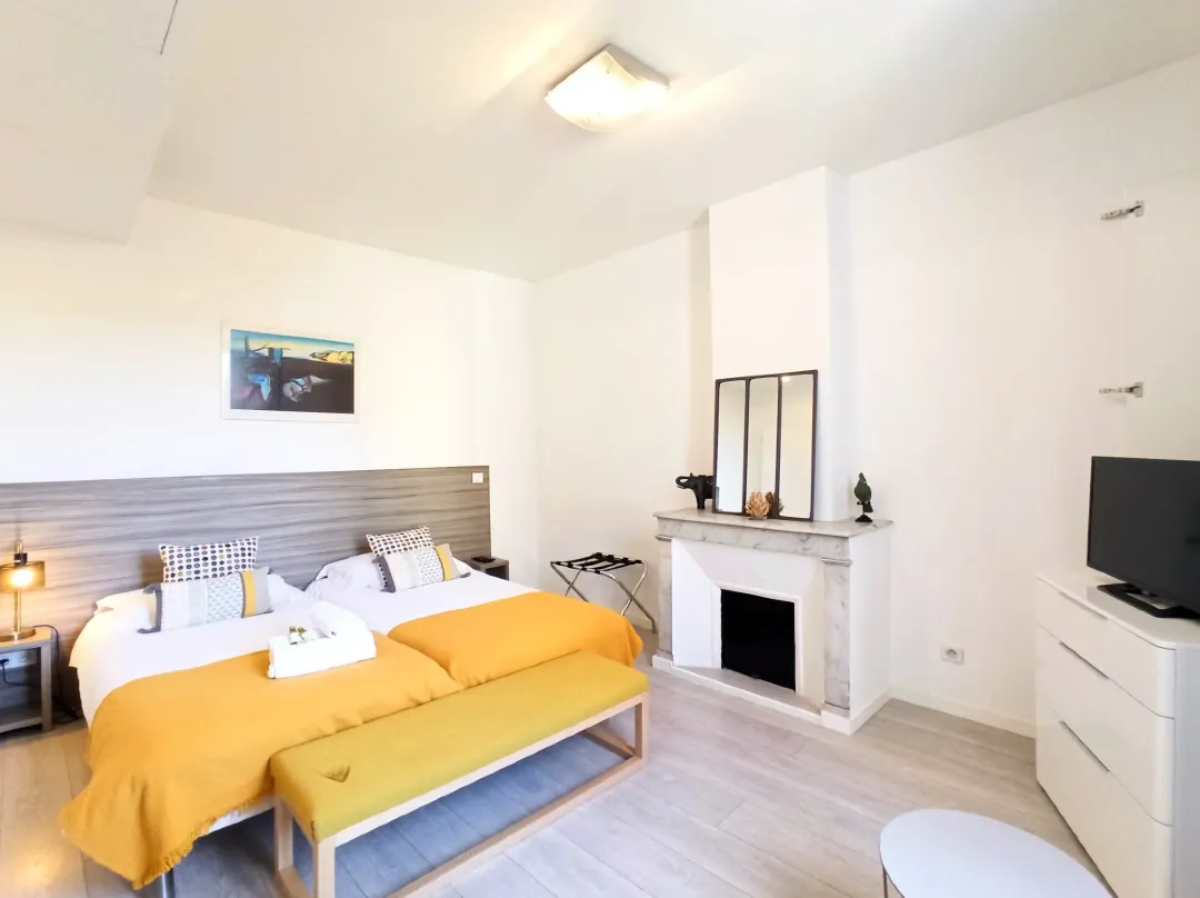 Lovely And Modern 1 Bedroom City Centre Cannes - Cannes