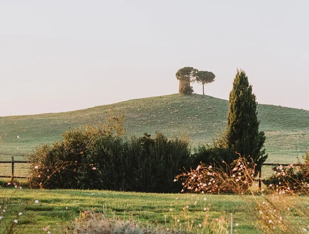 Relais Sant'elena | Relais Di Charme, Vacanze Bibbona Toscana - Bibbona