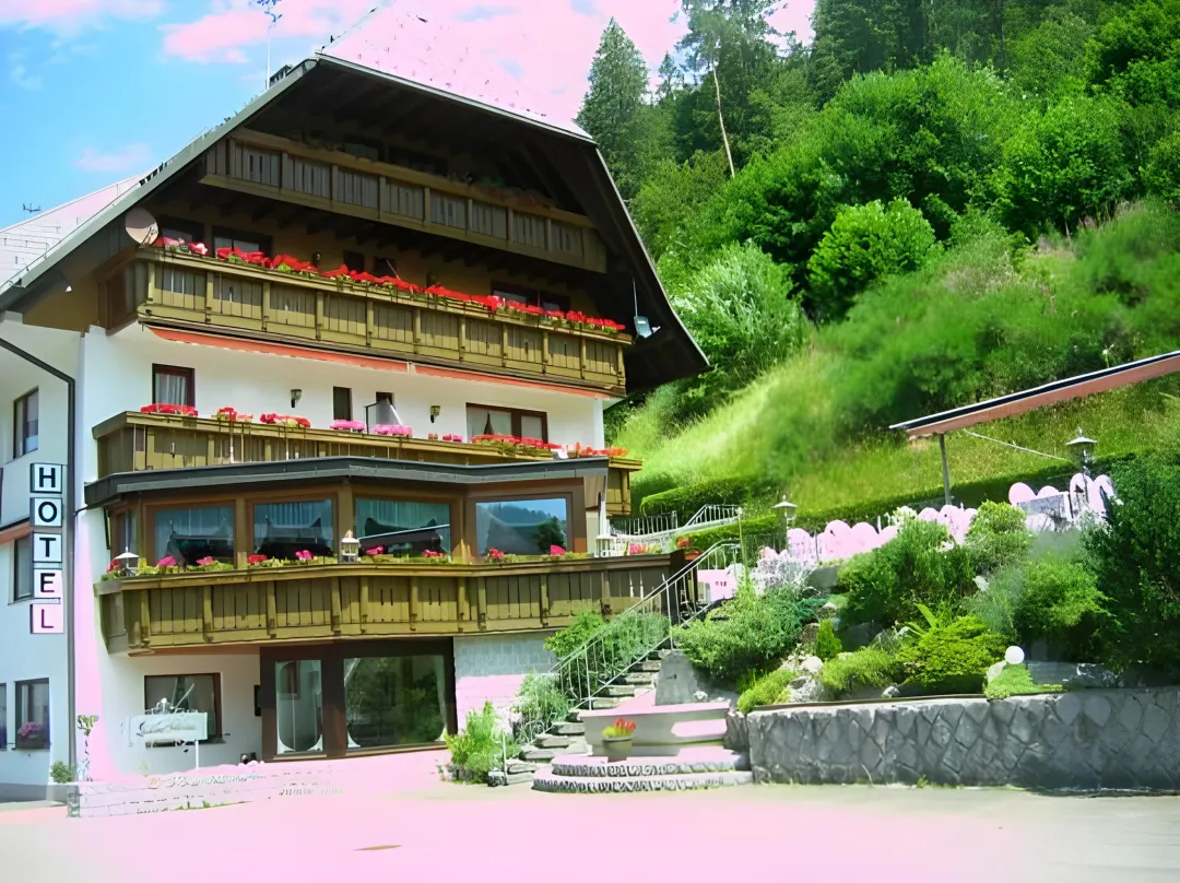 Hotel Silberfelsen - Schluchsee