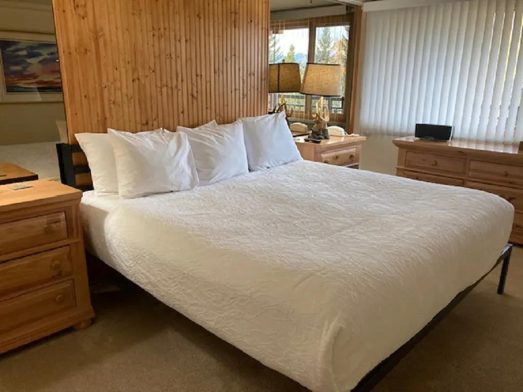 Ski-in Ski-out Access And Cozy Living Space - Stunning Mountain Retreat - Aspen, CO