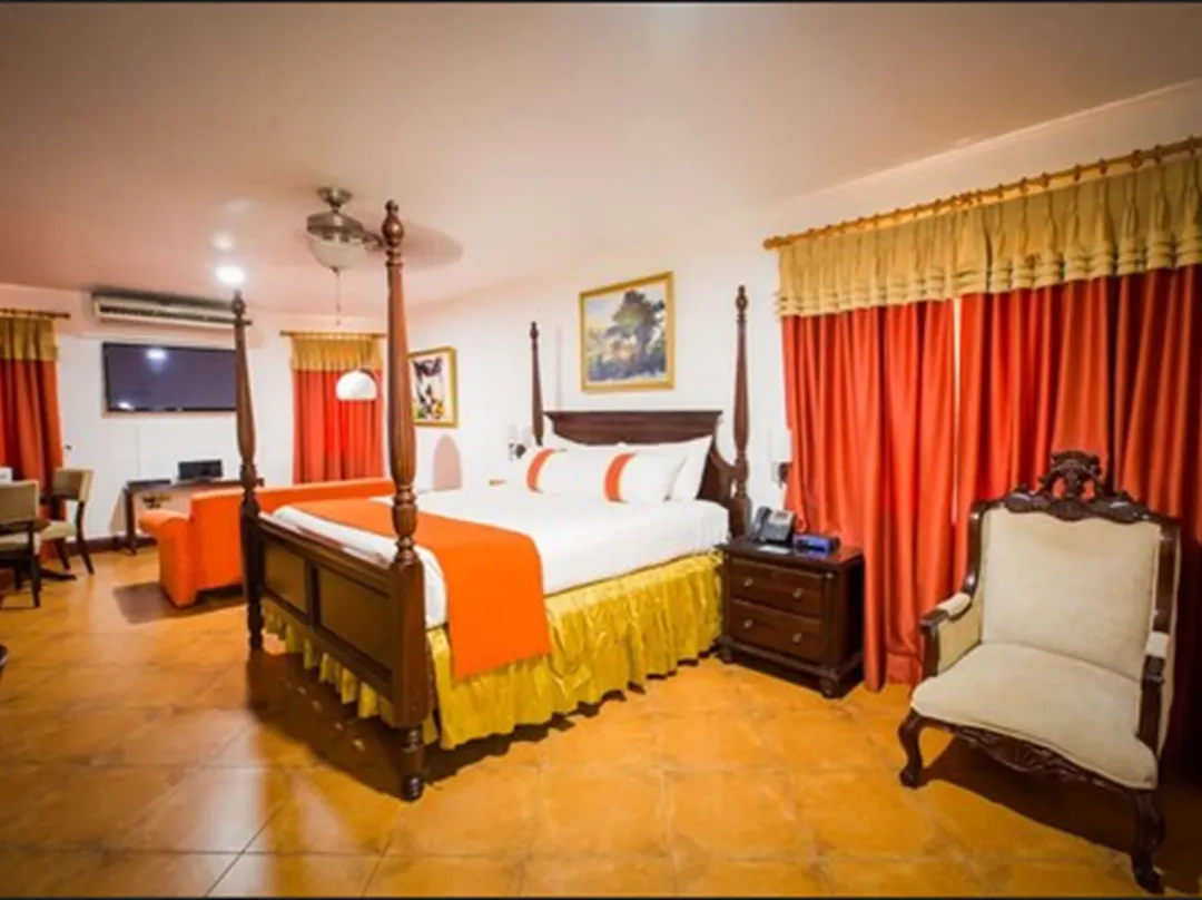 Altamont Court Hotel - Kingston