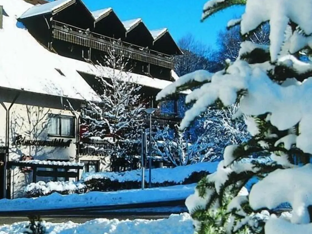 Hotel Restaurant Schwarzwaldhof - Gernsbach