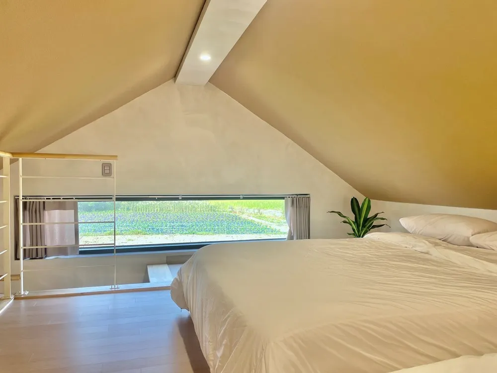 Gangneung Lazy Bear - Gangneung-si