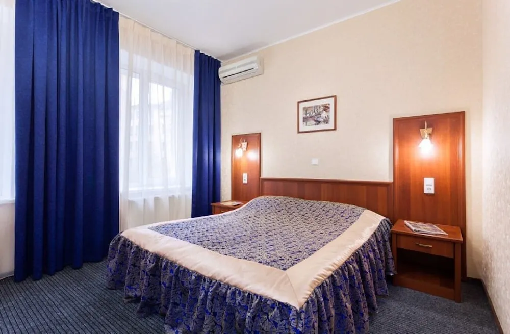 Aleksander Plats Hotel - 상트페테르부르크