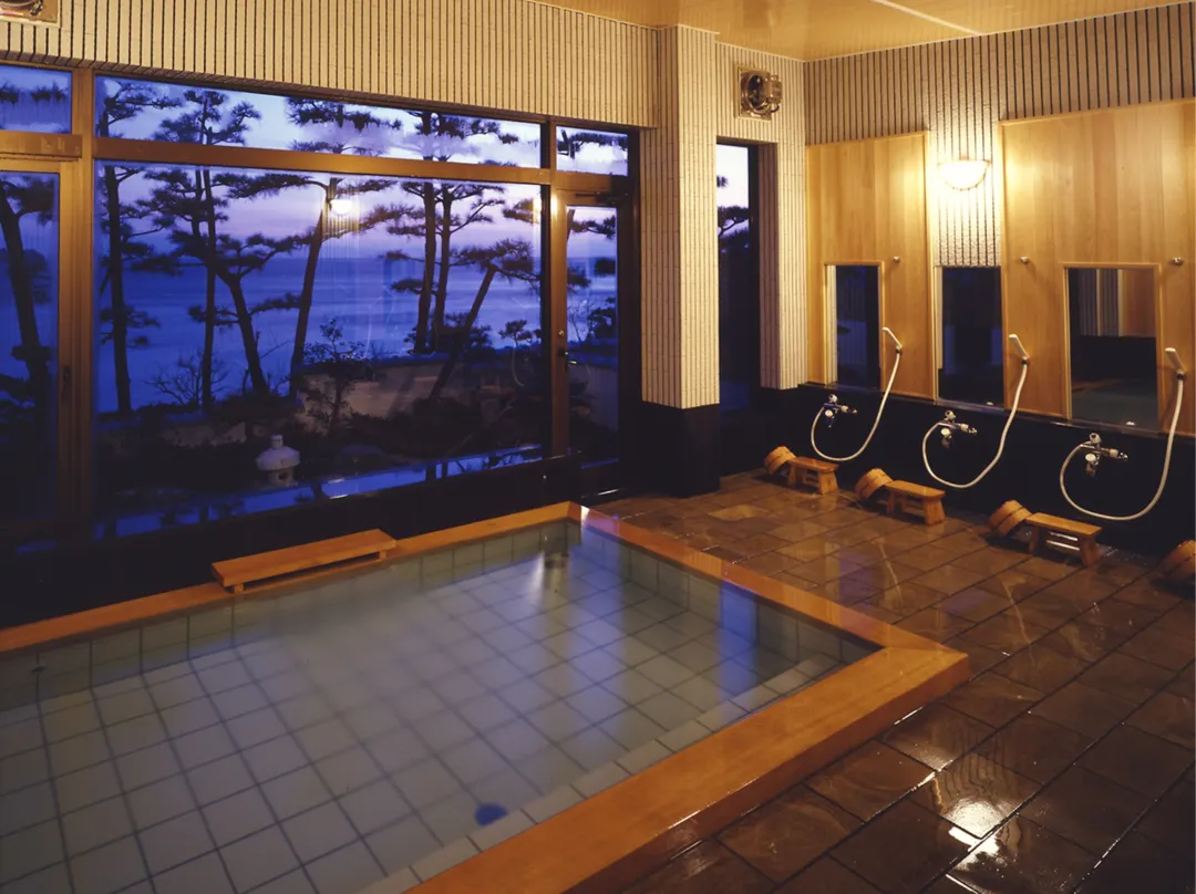 Hotel Himakaso - Aichi