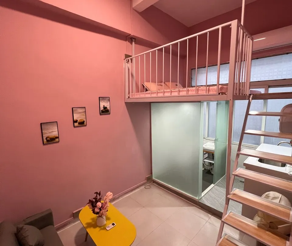 Euro Apartment - 선전 시