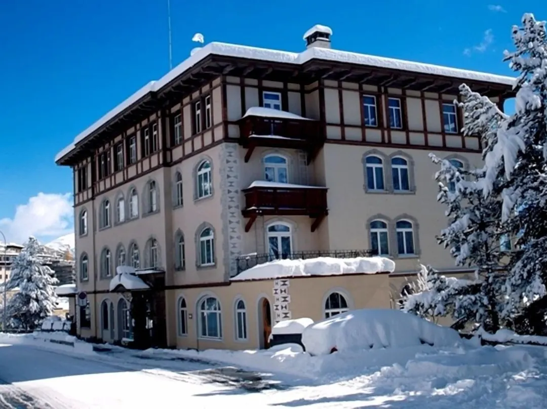 Soldanella - Sankt Moritz