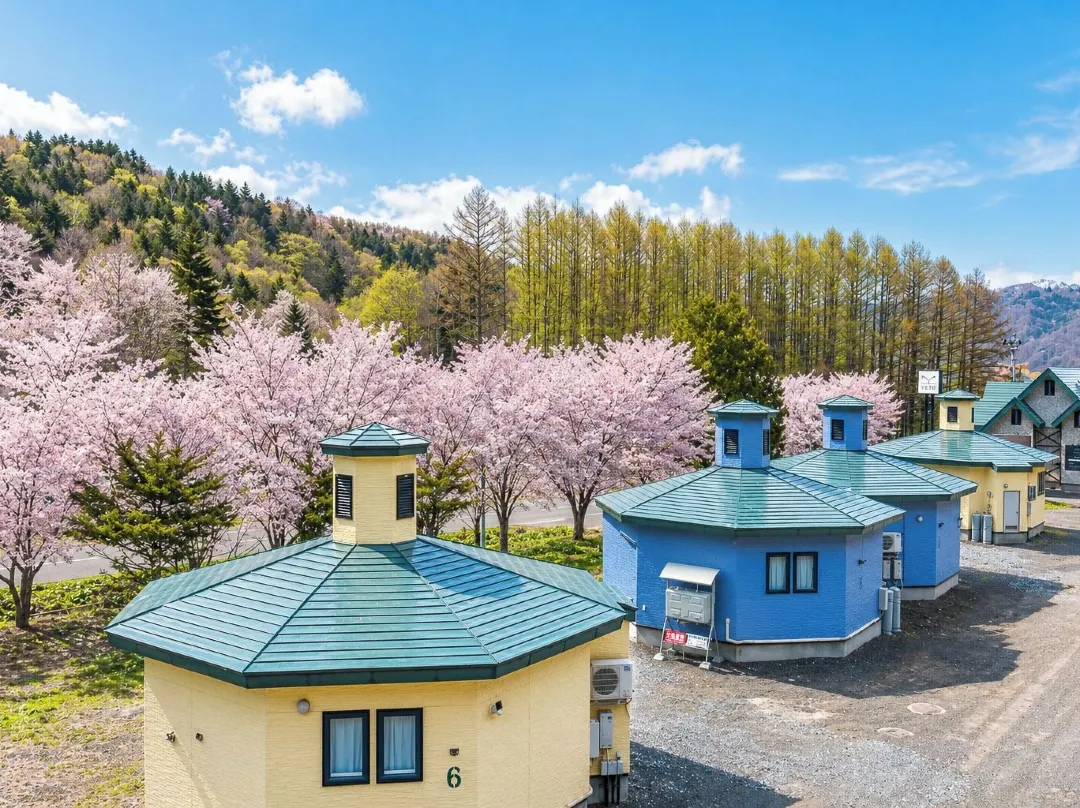 Hotel Furano Verde - Furano