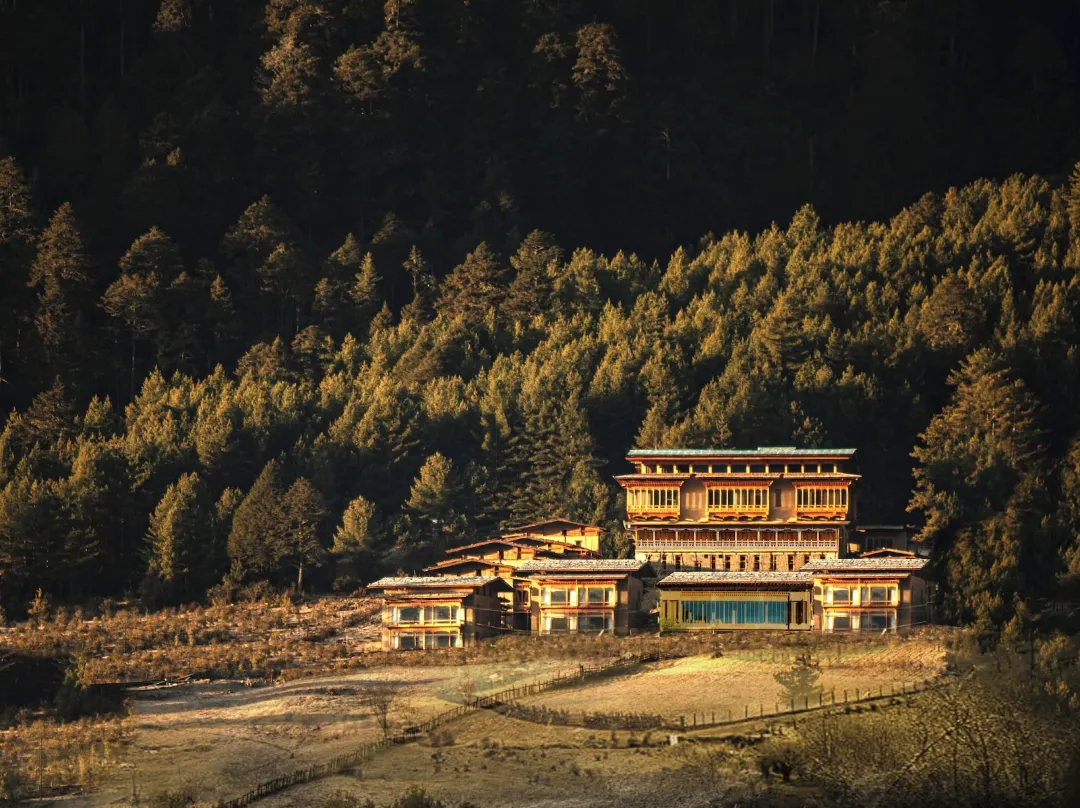 Taj Gangtey Resort And Spa - 시장