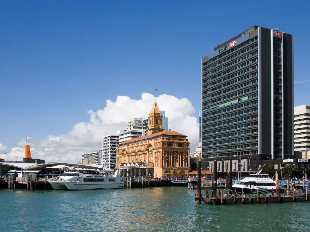 Tribe Auckland - Auckland