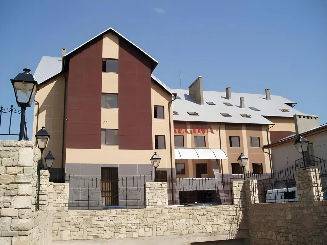 Regina-malye Klyki Hotel - Kazan