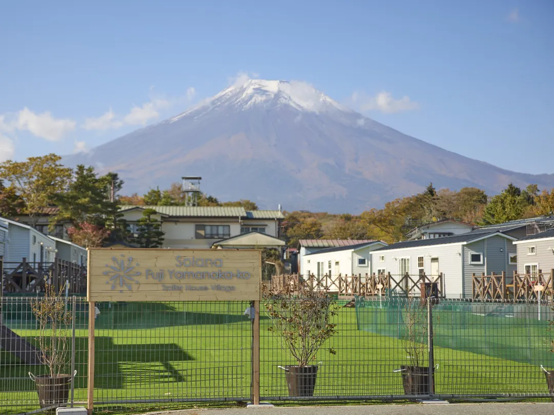 Solanafujiyamanakako - Fujiyoshida