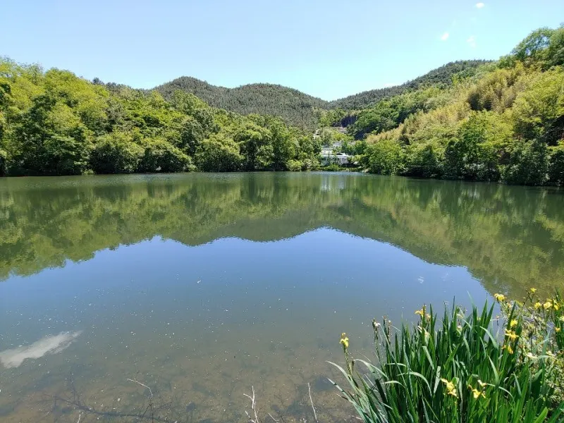 Cheongdo Angol Farm Pension - Daegu
