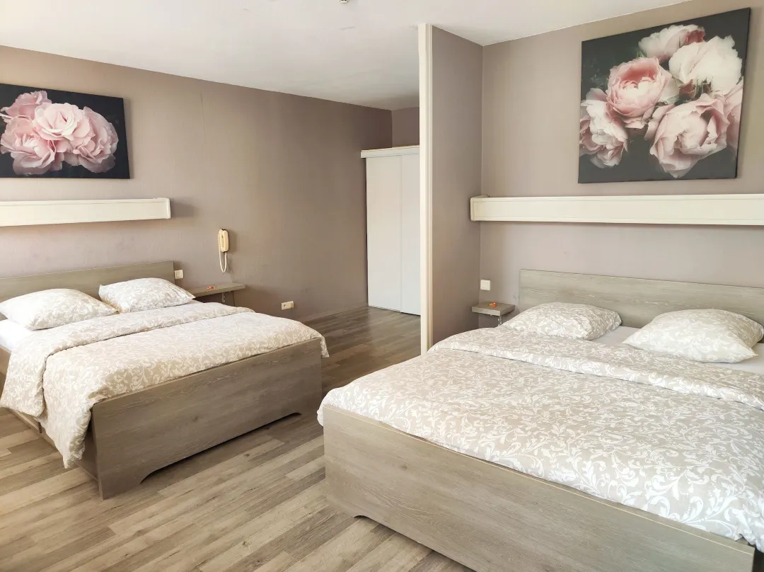 Hôtel Restaurant Le Commerce - Nogaro