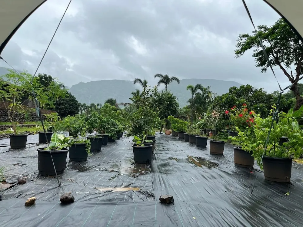 The Riverstone Agro Farm - Matheran