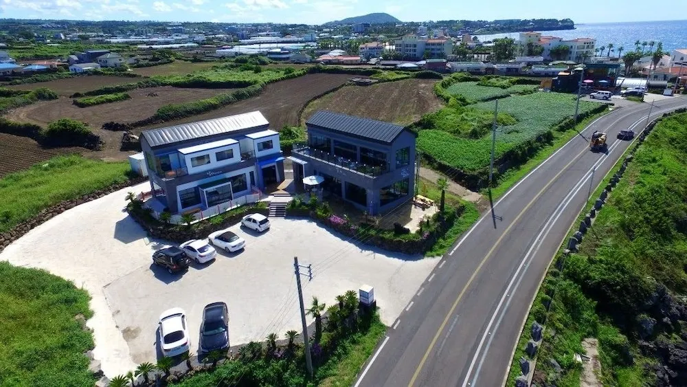 Dalja Pension - Jeju-si