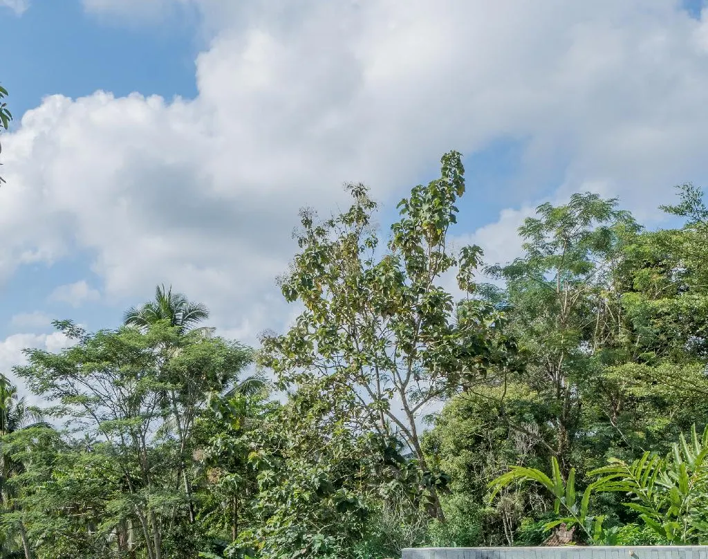 Galalima Glamping By Agata - Bali