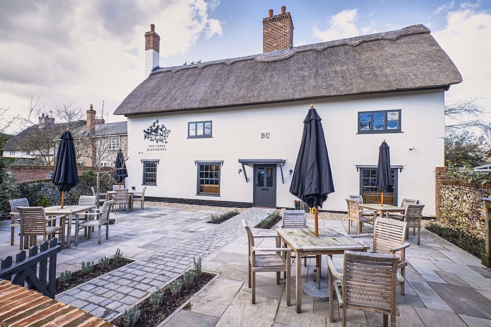The Three Blackbirds - Cambridgeshire