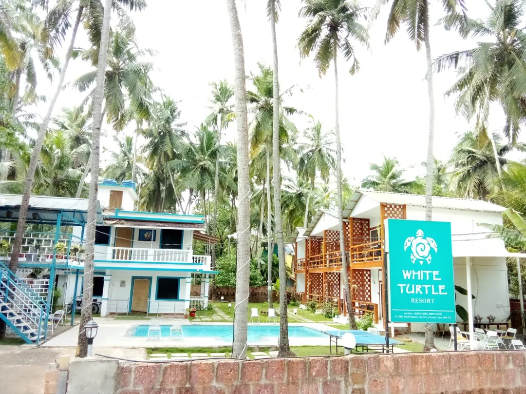 White Turtle Resort - Maharashtra
