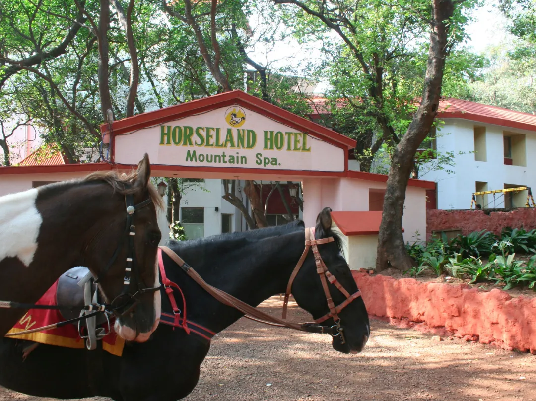 Horseland Hotel And Mountain Spa - Matheran
