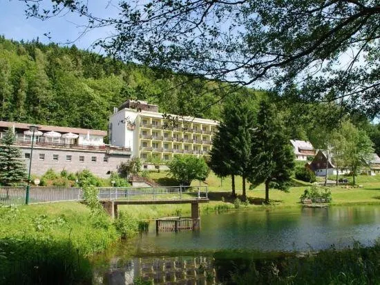 Hotel Schwarzbachtal Hideaway - Markneukirchen
