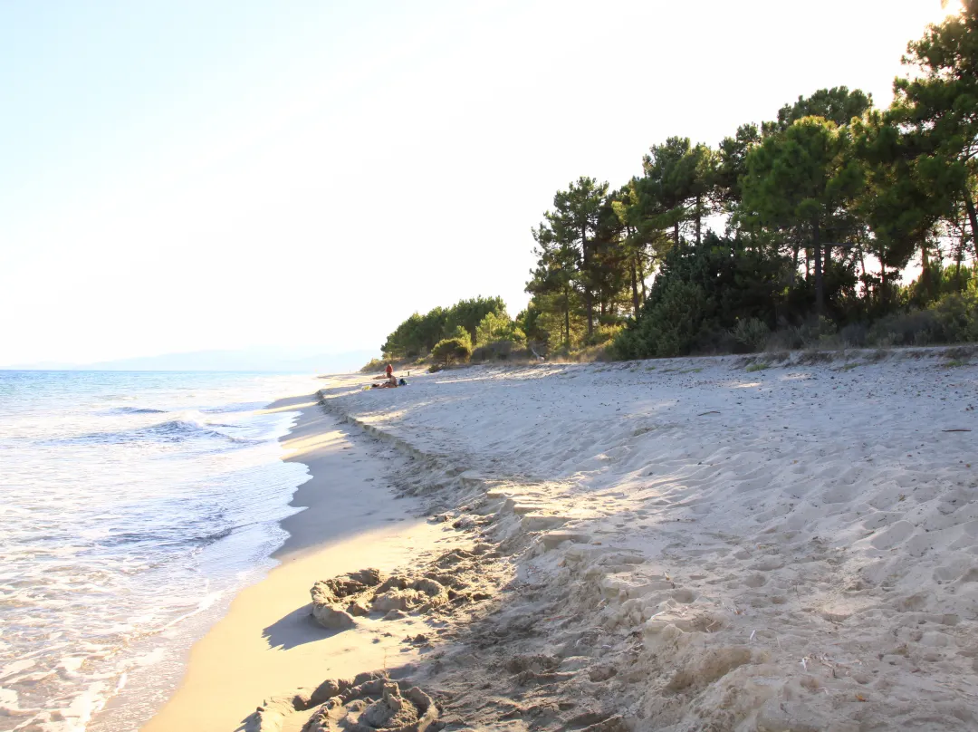Marina Corsa Résidence Logement 6 Personnes, Pieds Dans L'eau - Ghisonaccia - Ghisonaccia
