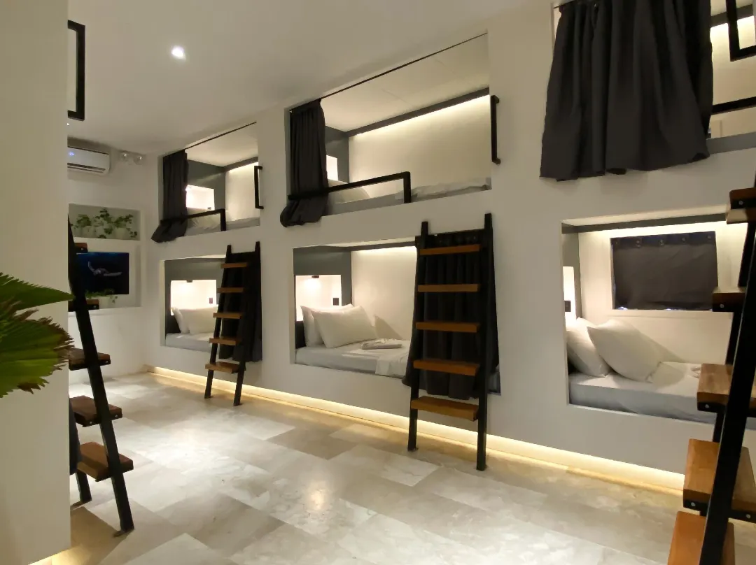 Wild Monkeys Hostel - Moalboal