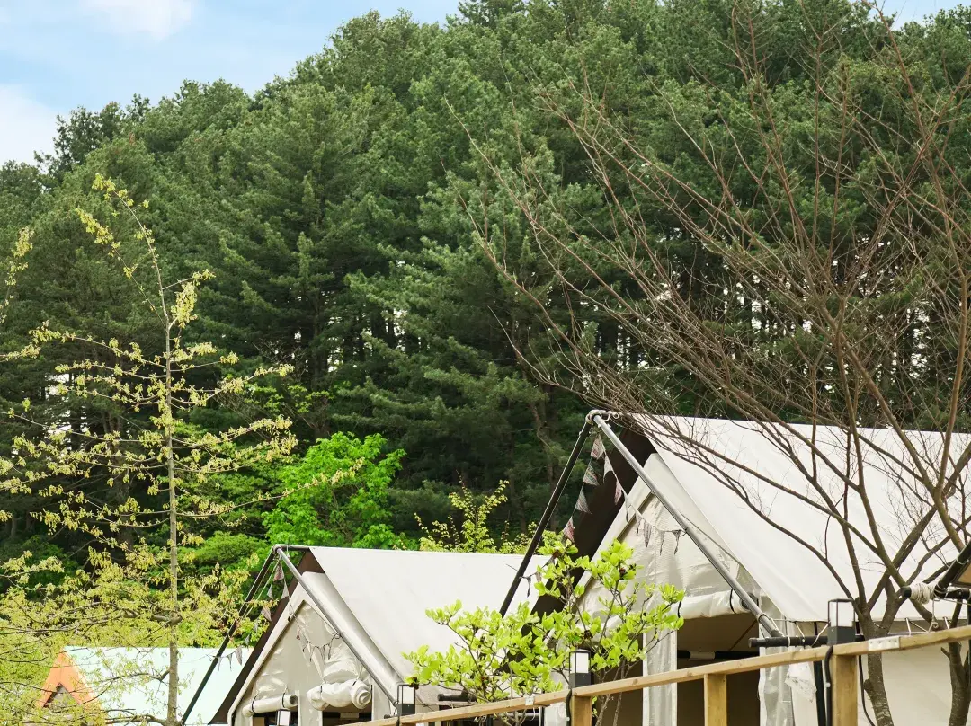 Gapyeong Serapim Geulraemping/eeokeon/saetenteu Gyoce/dangilgweon Panmae - Icheon-si