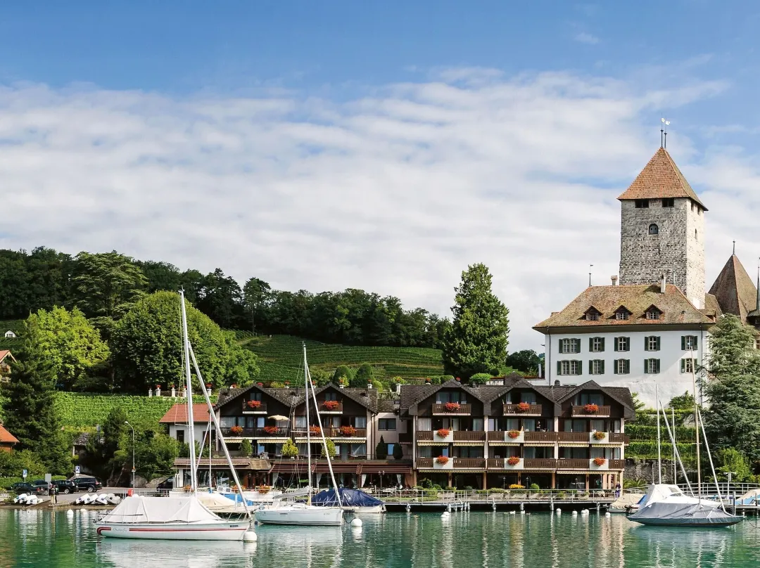 Hotel-restaurant Seegarten-marina - Spiez