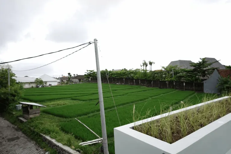 The Cendana Umalas - Canggu