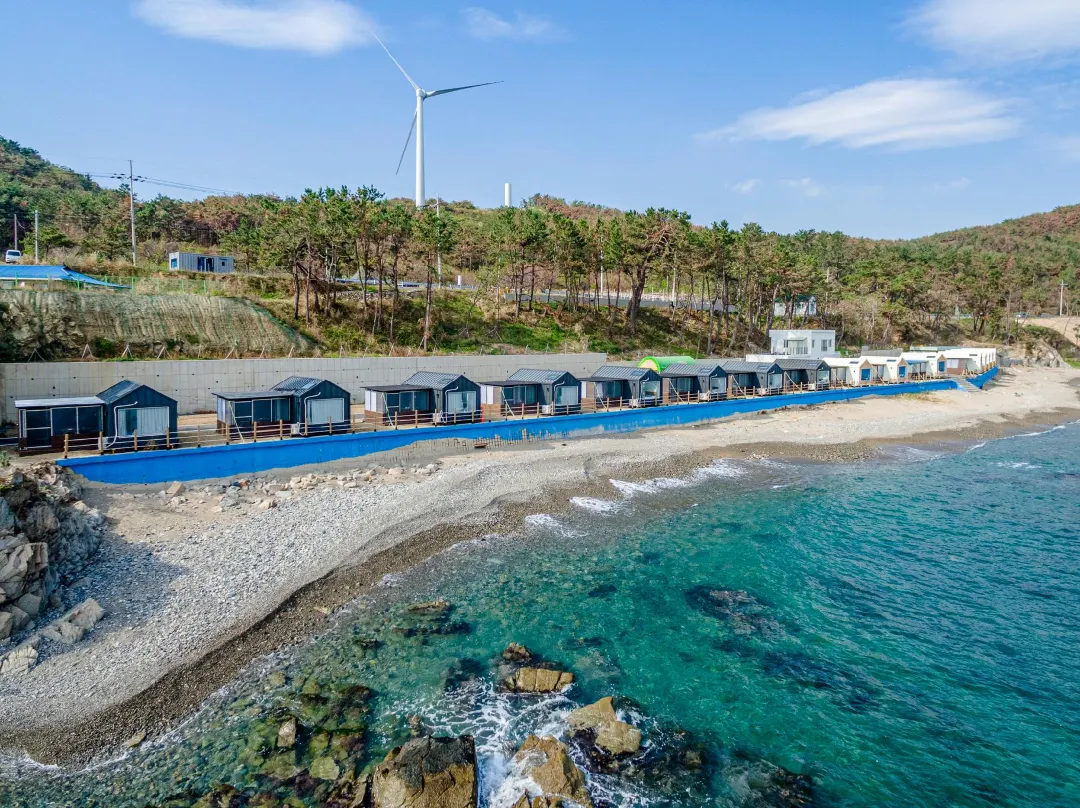 Pohang Blooming Caravan - Pohang-si