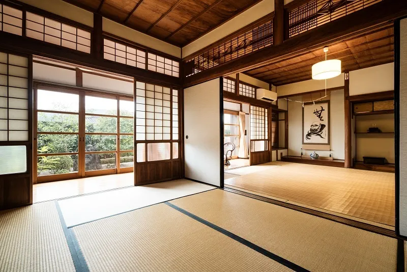 Obimurasaki - Nichinan