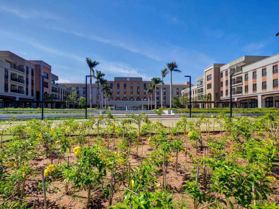 Hilton Garden Inn São José Do Rio Preto - São José do Rio Preto