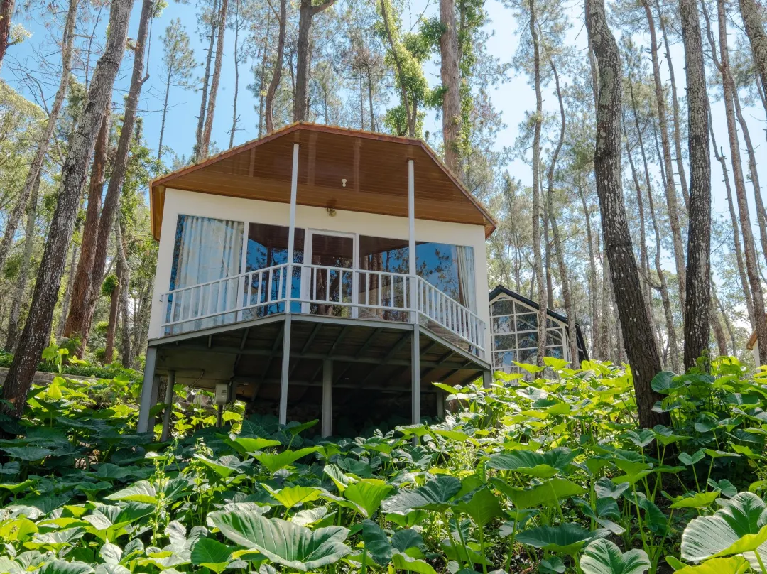 La Pino Mount Batur And Hot Spring - Kintamani